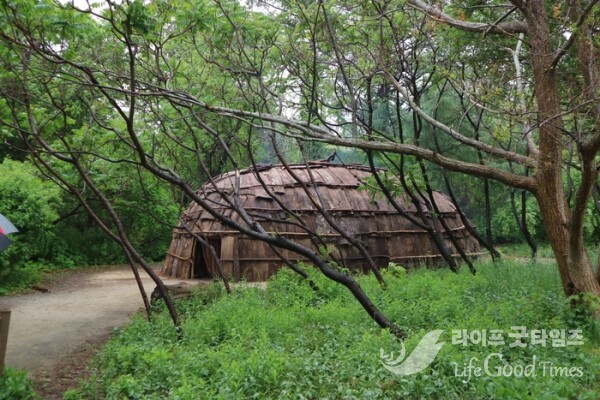 [기행] 추수감사절의 뿌리, 미 청교도의 발자취가 남은 플리머스를 찾아